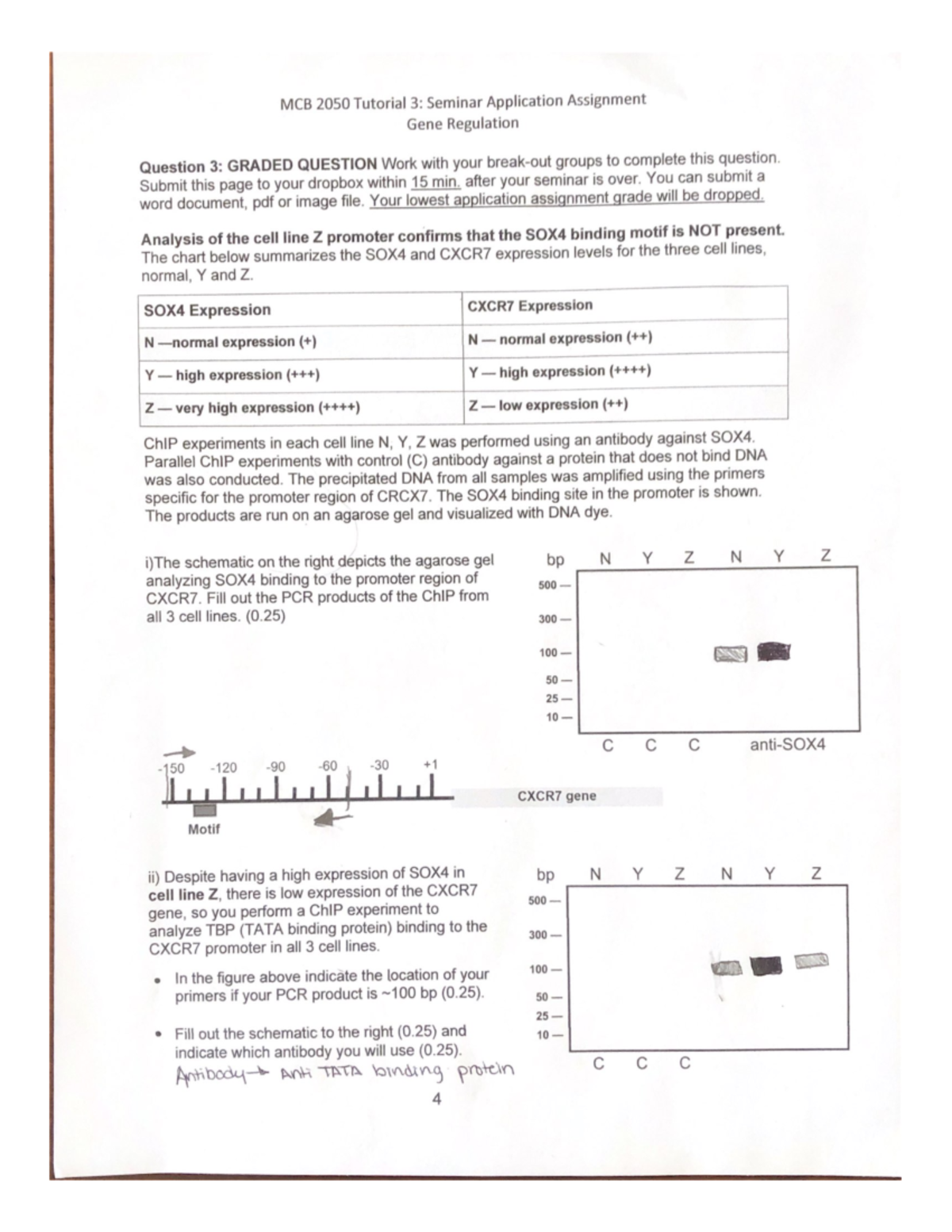 MCB 2050 Tutorial 3 Seminar Application Assignment - MCB 2050 - Studocu
