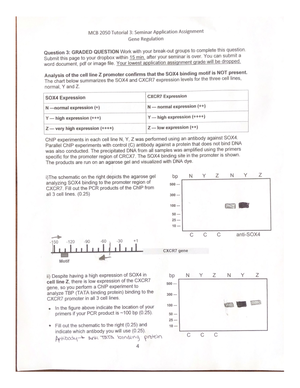 Week 4 Seminar 3 Assignment - MCB 2050 Tutorial 3: Signal Transduction ...