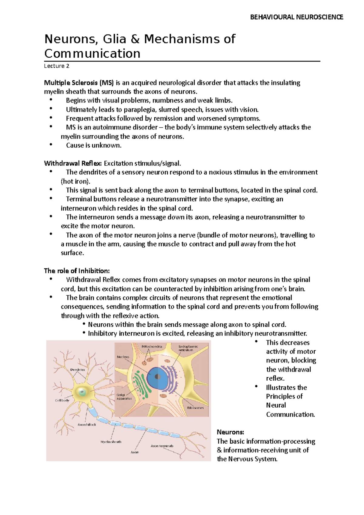 Behavioural Neuroscience Notes - Neurons, Glia & Mechanisms of ...