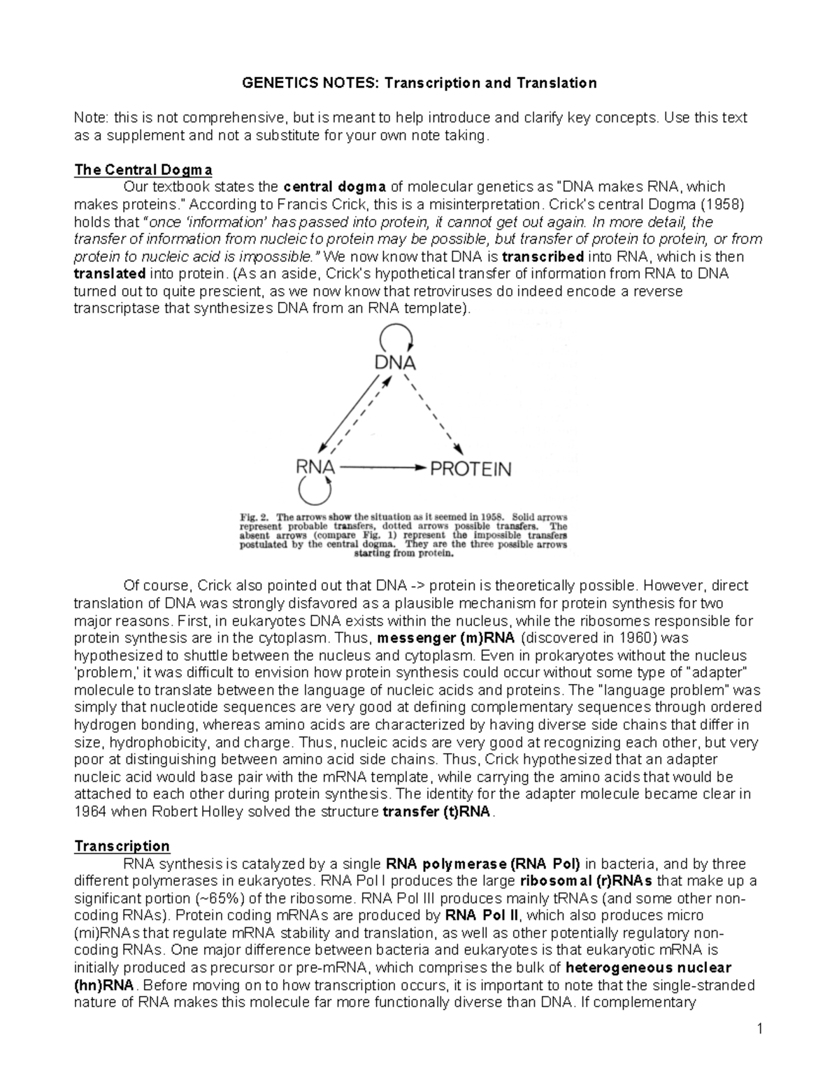 Transcription and Translation Lecture Notes - 1 GENETICS NOTES ...