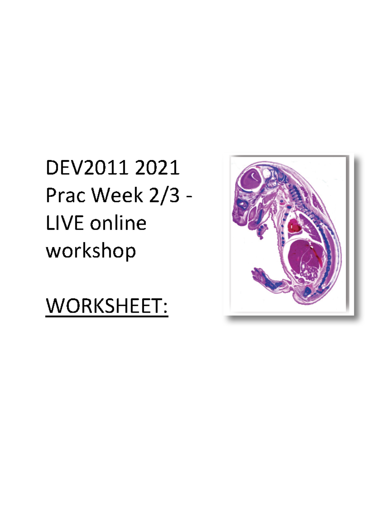 DEV2011 2021 Week 23 Workshop Worksheet - DEV2011 2021 Prac Week 2/3 - LIVE online workshop ...