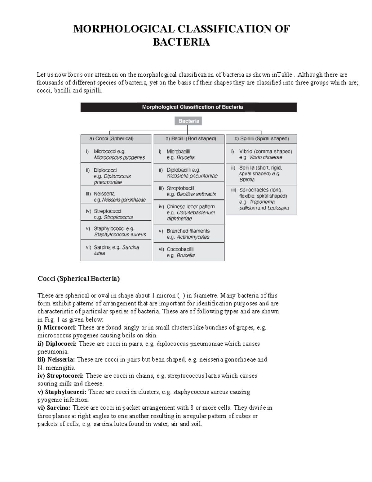 Morphological Classification OF Bacteria - MORPHOLOGICAL CLASSIFICATION ...