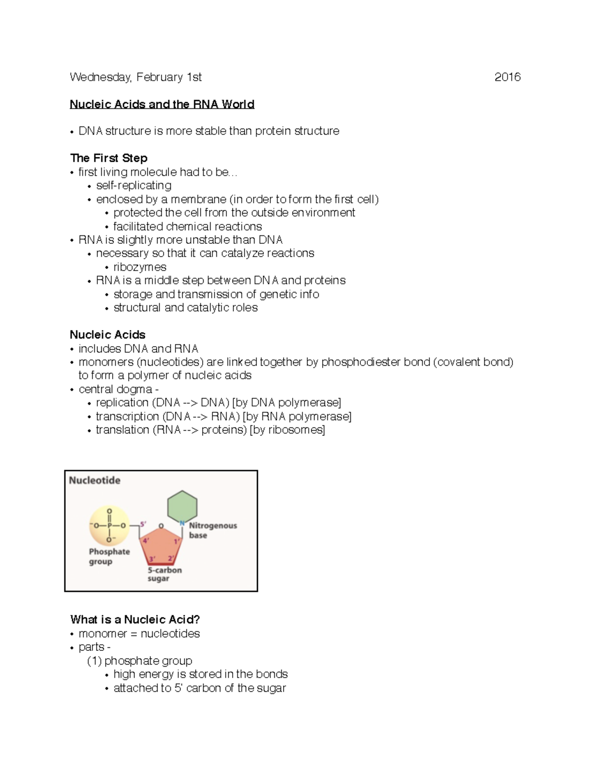 BIOL2000 Lecture 6 Notes - Wednesday, February 1st 2016 Nucleic Acids ...
