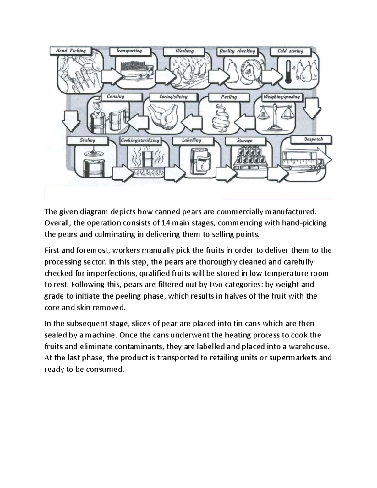 Canned pear production - The given diagram depicts how canned pears are ...