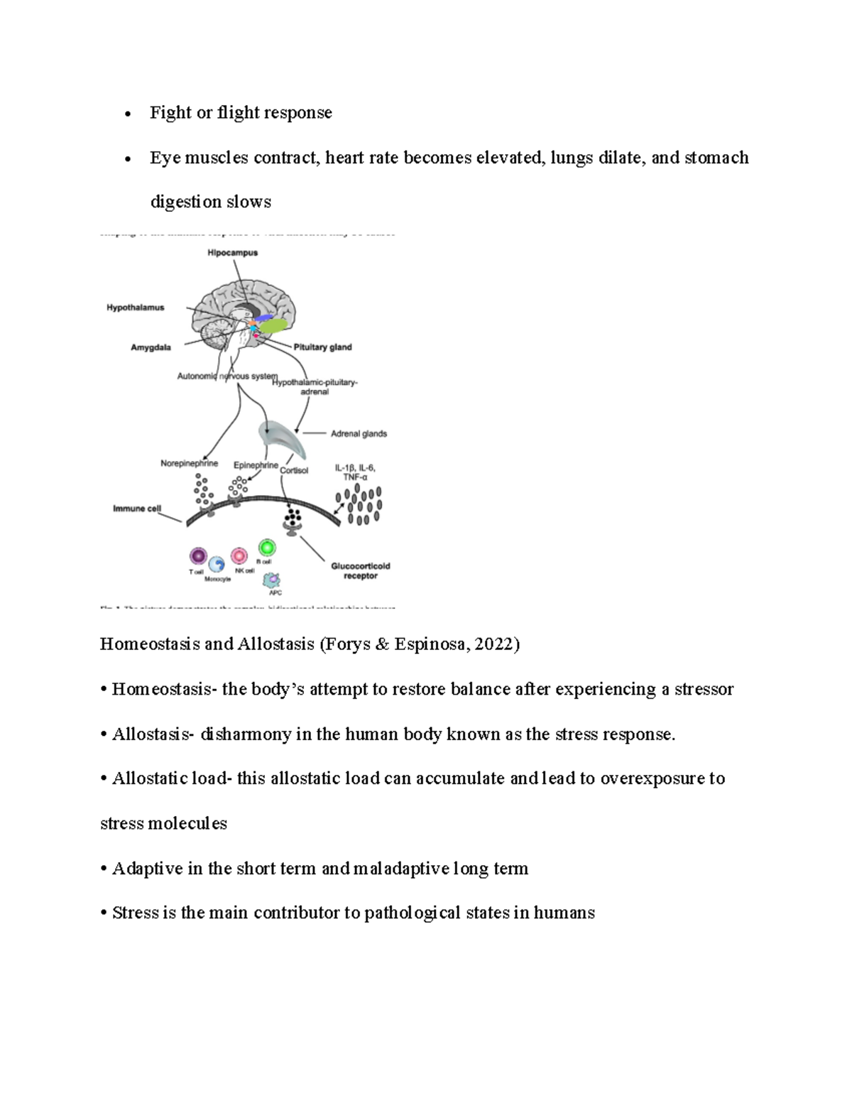 Psych 4 - Fight or flight response Eye muscles contract, heart rate ...