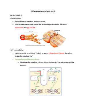 Crohn's Disease Concept Map - mid onset same asvc teens After 604 ...