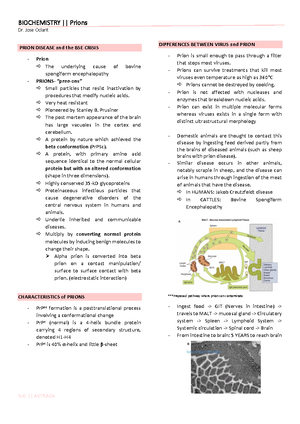 BHW Training Facilitator Guide - Mensahe mula kay: Usec. Maria Rosario ...