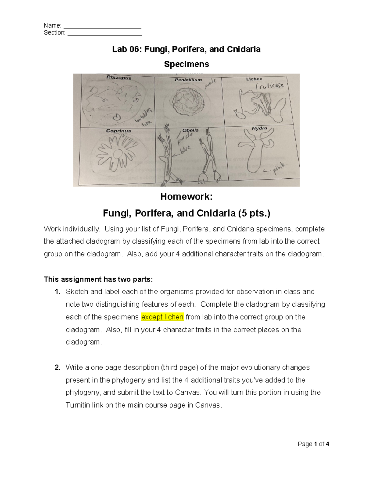 Fungi Cnidaria Porifera Protocol and Datasheet v2 - Section ...