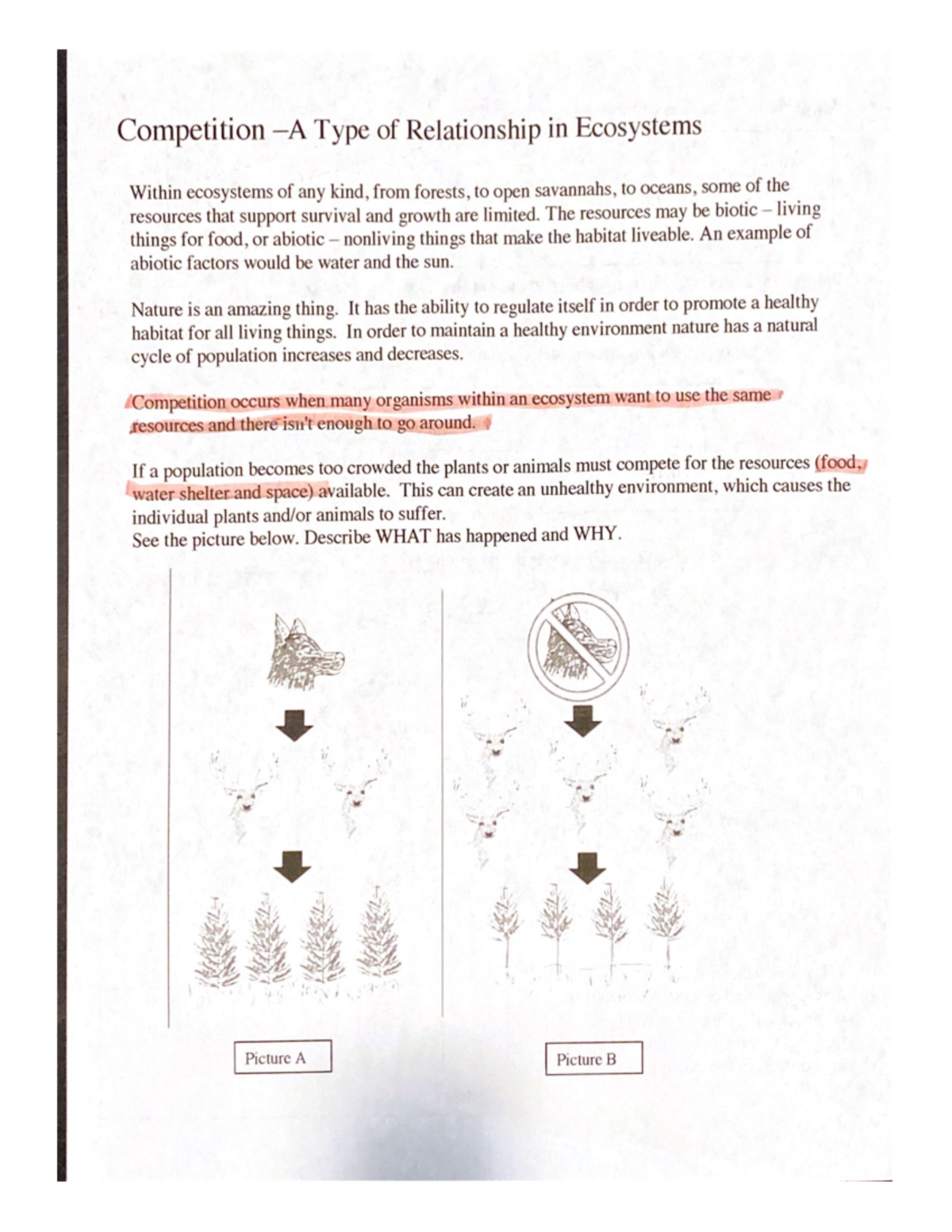 Competition -A Type of Relationship in Ecosystems - Studocu