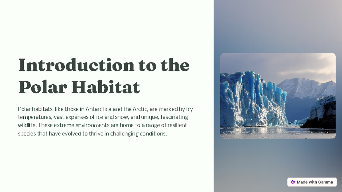 Diapositivas hábitat polar en inglés - Itroductio to te Polar Habitat ...