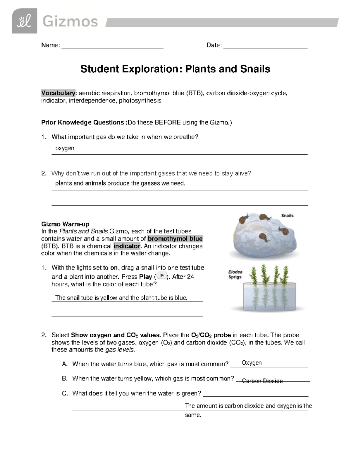 Plants and Snails Gizmo (Answer the questions as clearly as possible ...