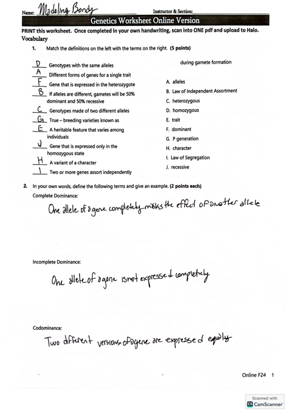 Mendelian genetics of corn lab - Name: Modeling Bondy Instructor ...