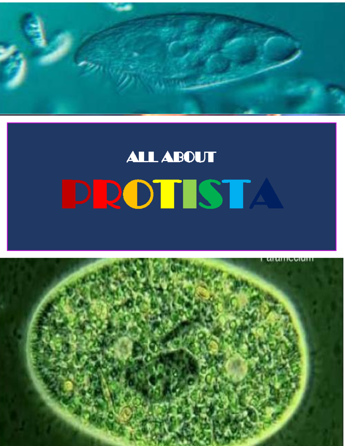 Protista - Lecture notes 1-3 - ALL ABOUT PROTISTA ####### W ####### E ...