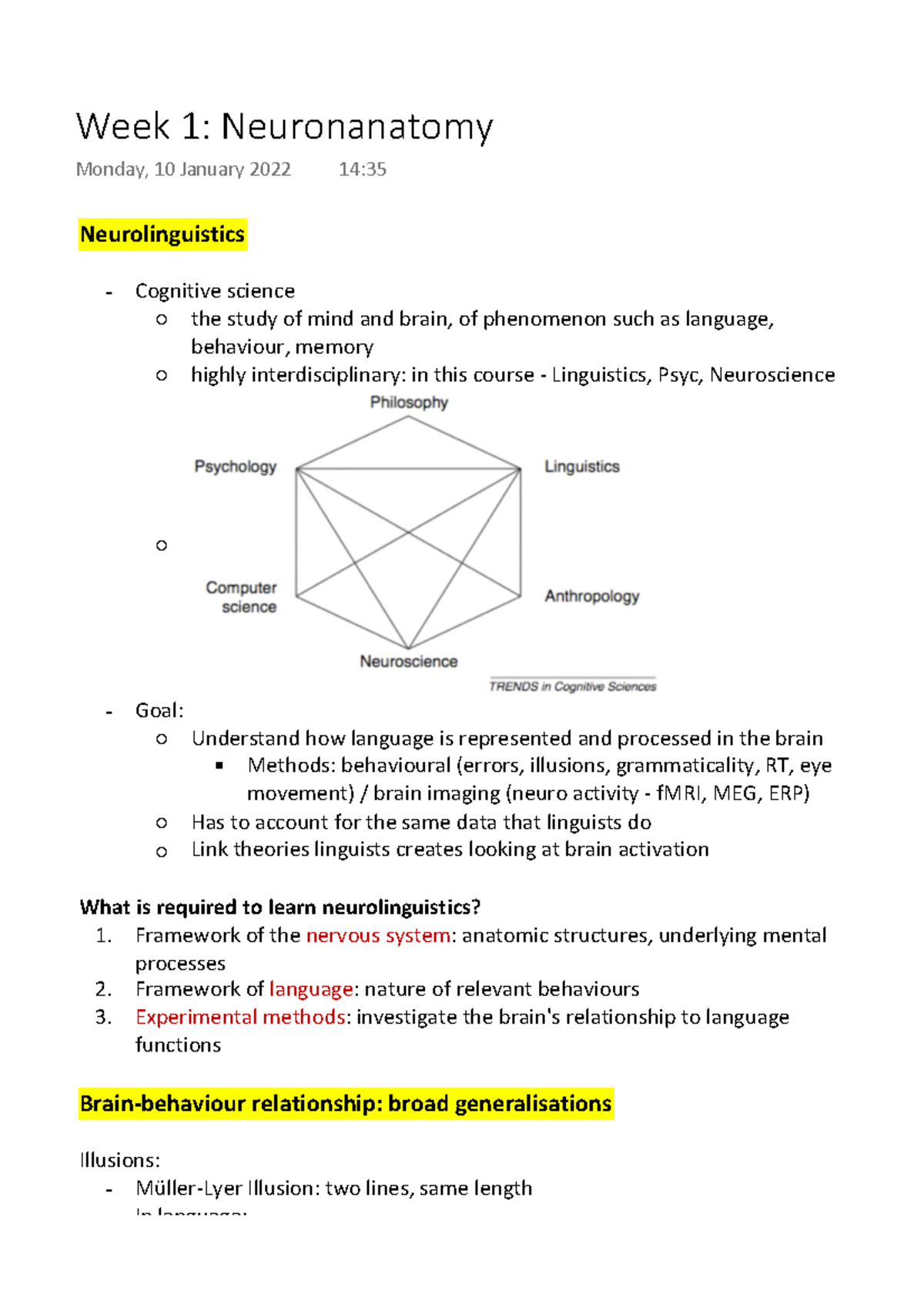 Week 1 Neuronanatomy - unit 1 summary - Neurolinguistics Cognitive ...