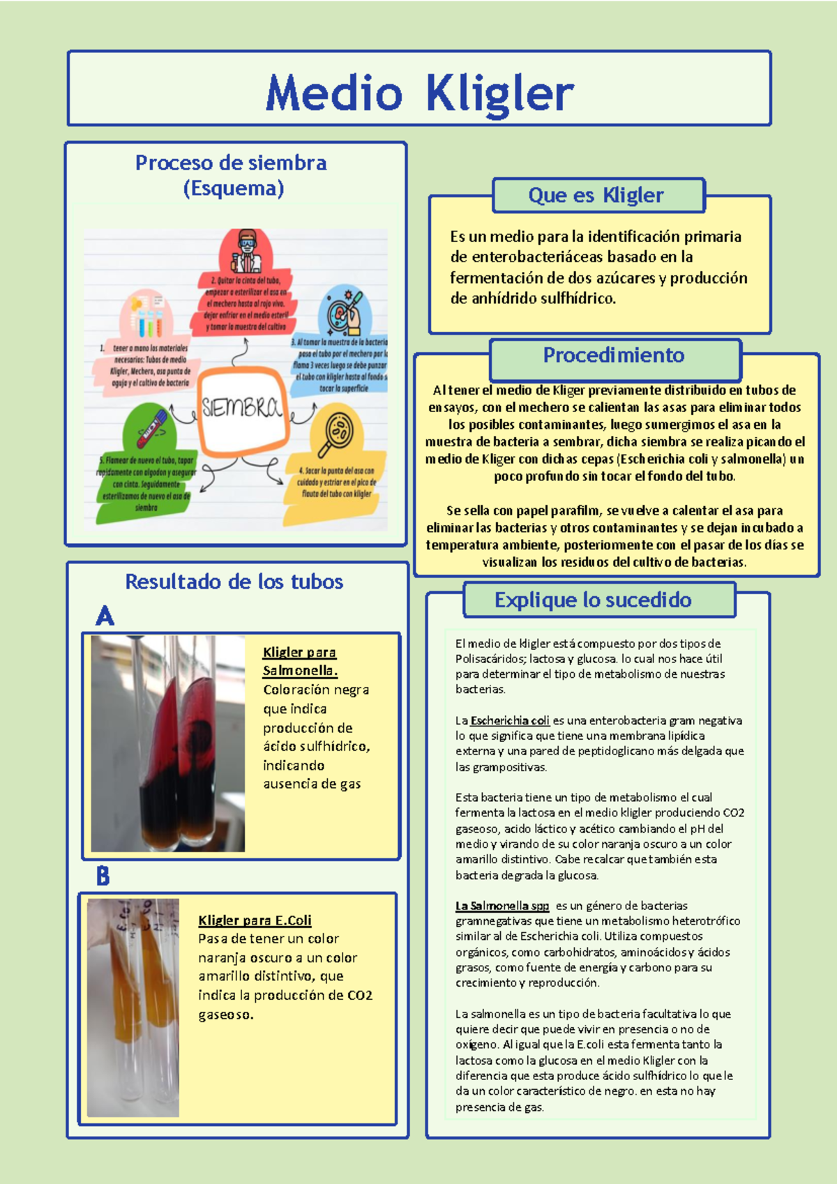 Ficha de kligler - Medio Kligler Resultado de los tubos Proceso de ...