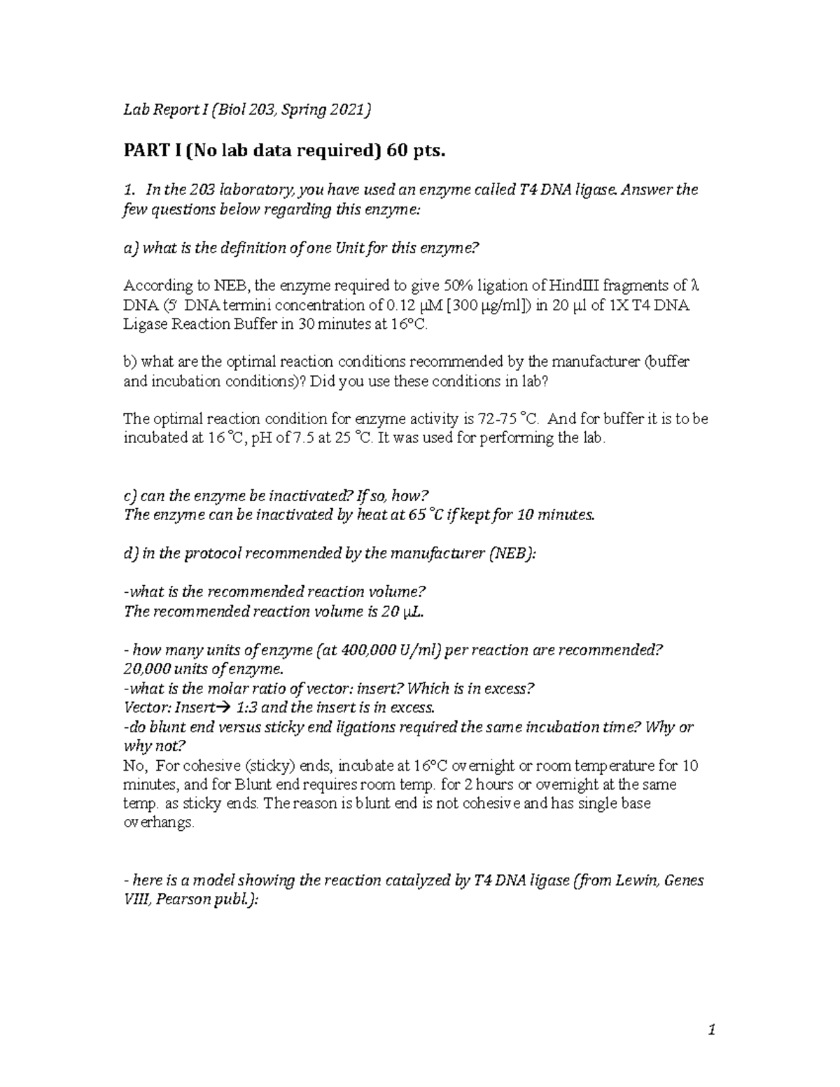 Molecular Biology and Genetics lab report 1 - Lab Report I (Biol 203 ...
