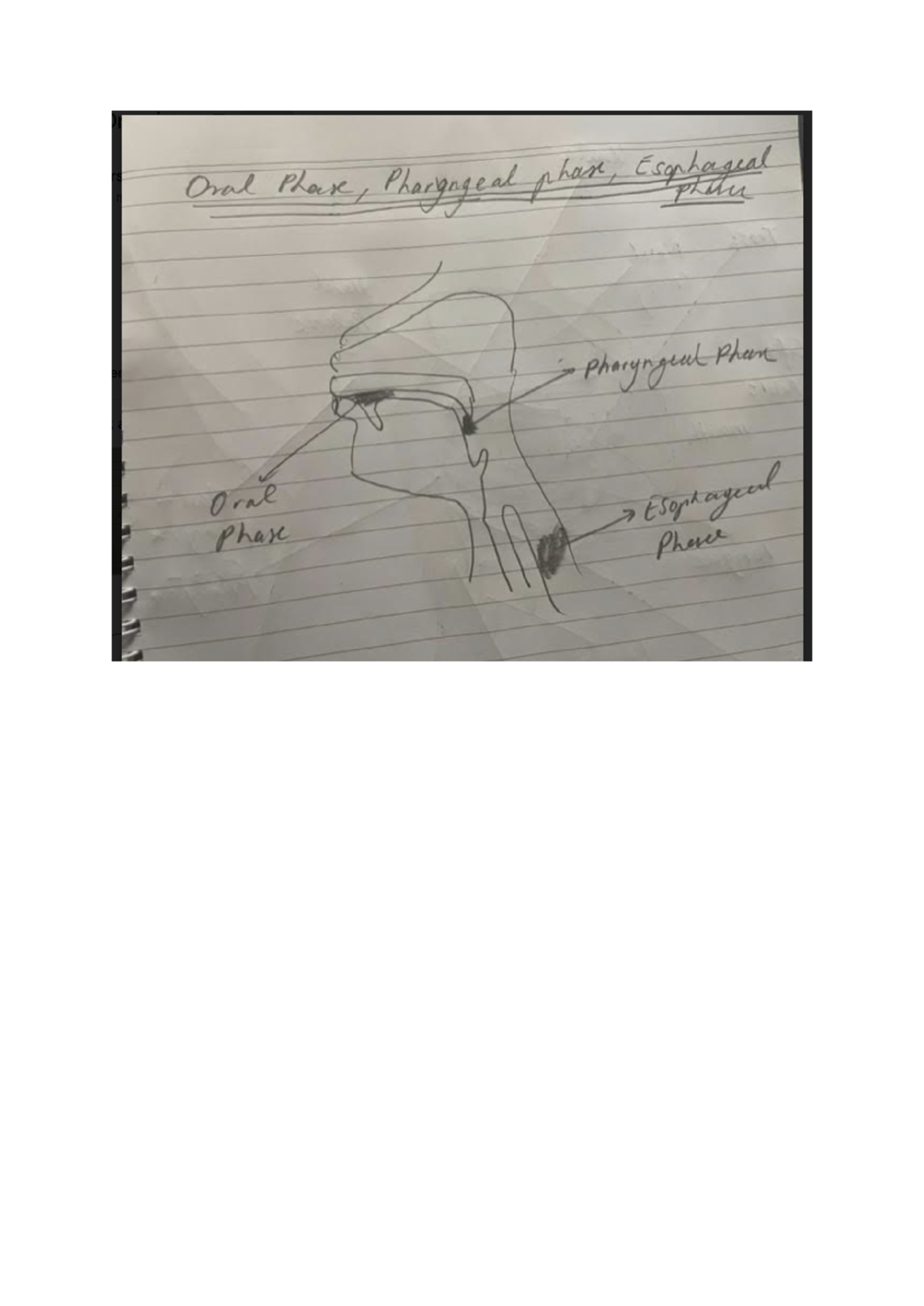 Arshaan drawings - it is important content - 47051 - Studocu