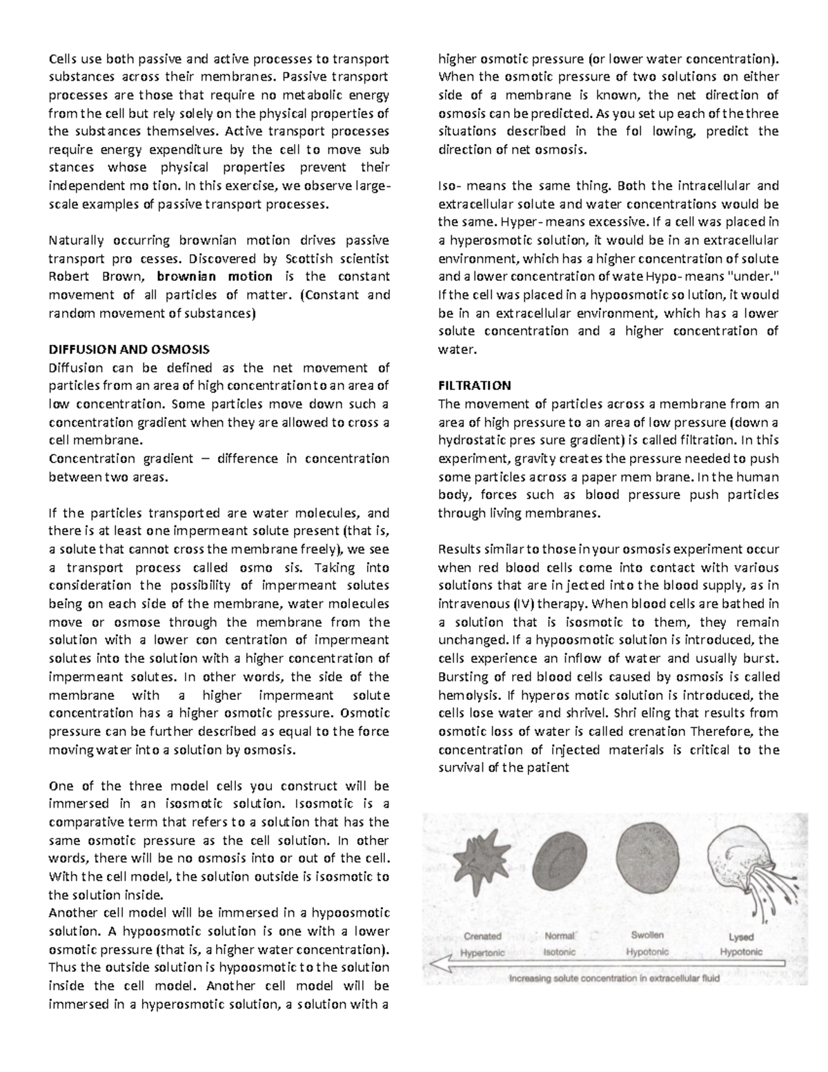 Diffusion, Osmosis, And Infiltration - Cells use both passive and ...
