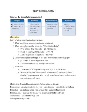 Naap ssm sg lab - naap lab - Name: C Sun Earth Solar System Models ...
