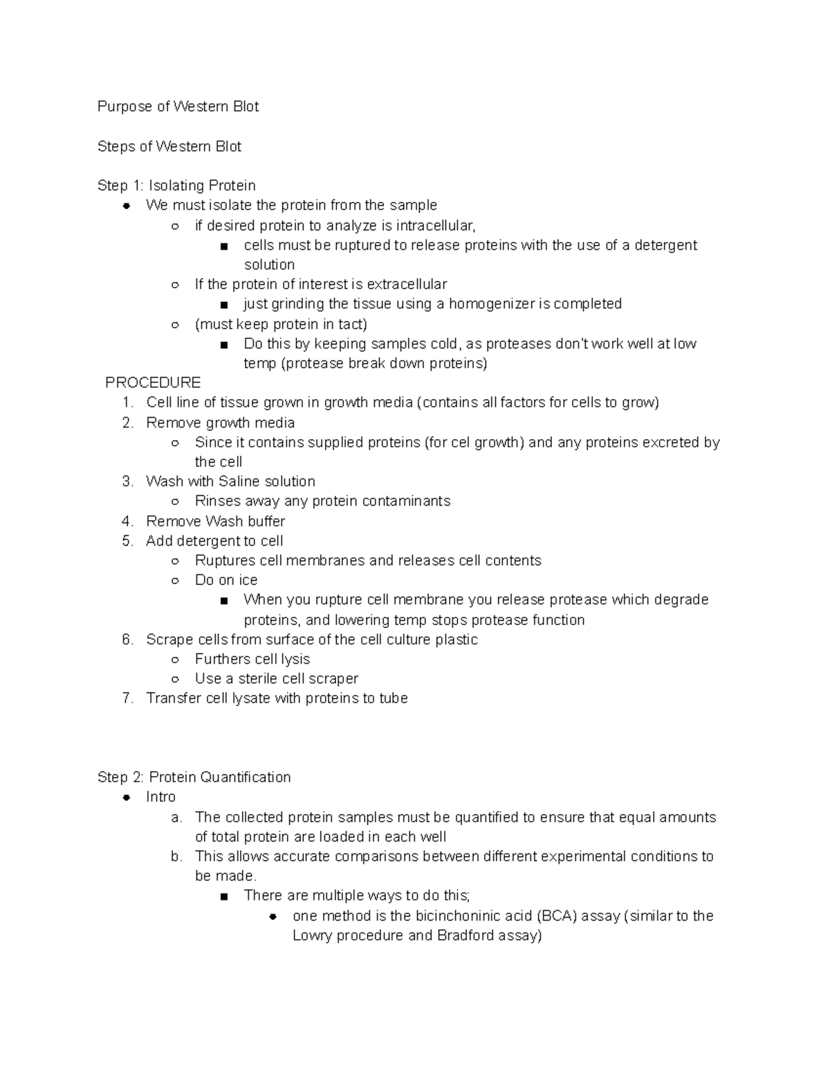 Toolbox 2 Western Blot - Purpose of Western Blot Steps of Western Blot ...