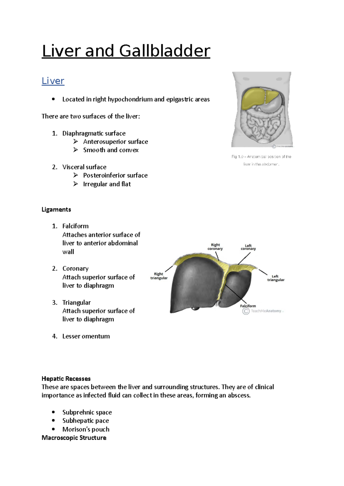 Liver and Gallbladder - Anatomy notes - Liver and Gallbladder Liver ...