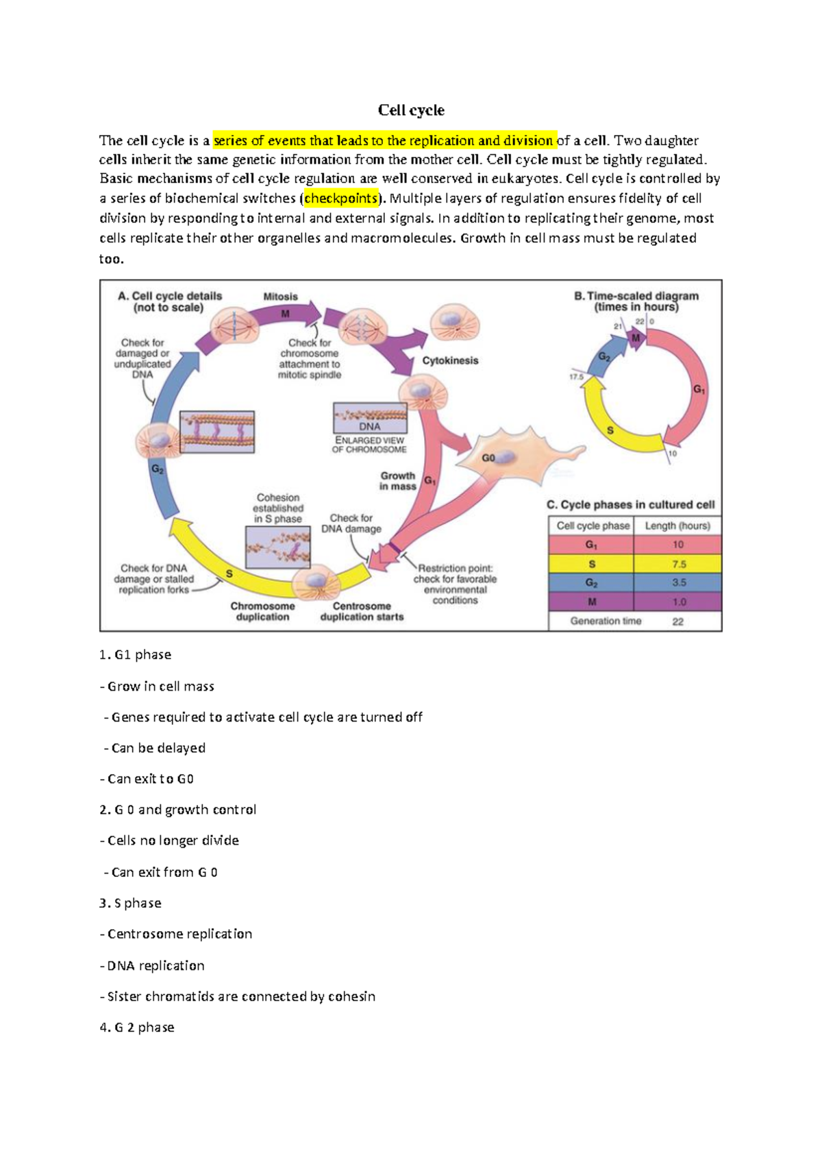 Module 3 Cell cycle (cyclins and CDK) - Cell cycle The cell cycle is a ...
