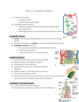 Anaphy - Notes - ANATOMY & PHYSIOLOGY| ANAPHY I. INTRODUCTION TO THE ...