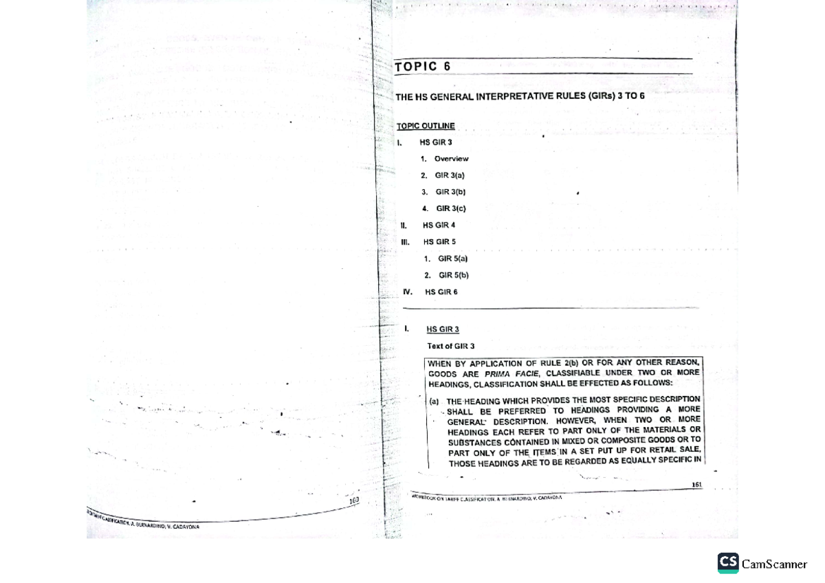 P6 - gir classification guidelines - Customs Administration - RMMC ...