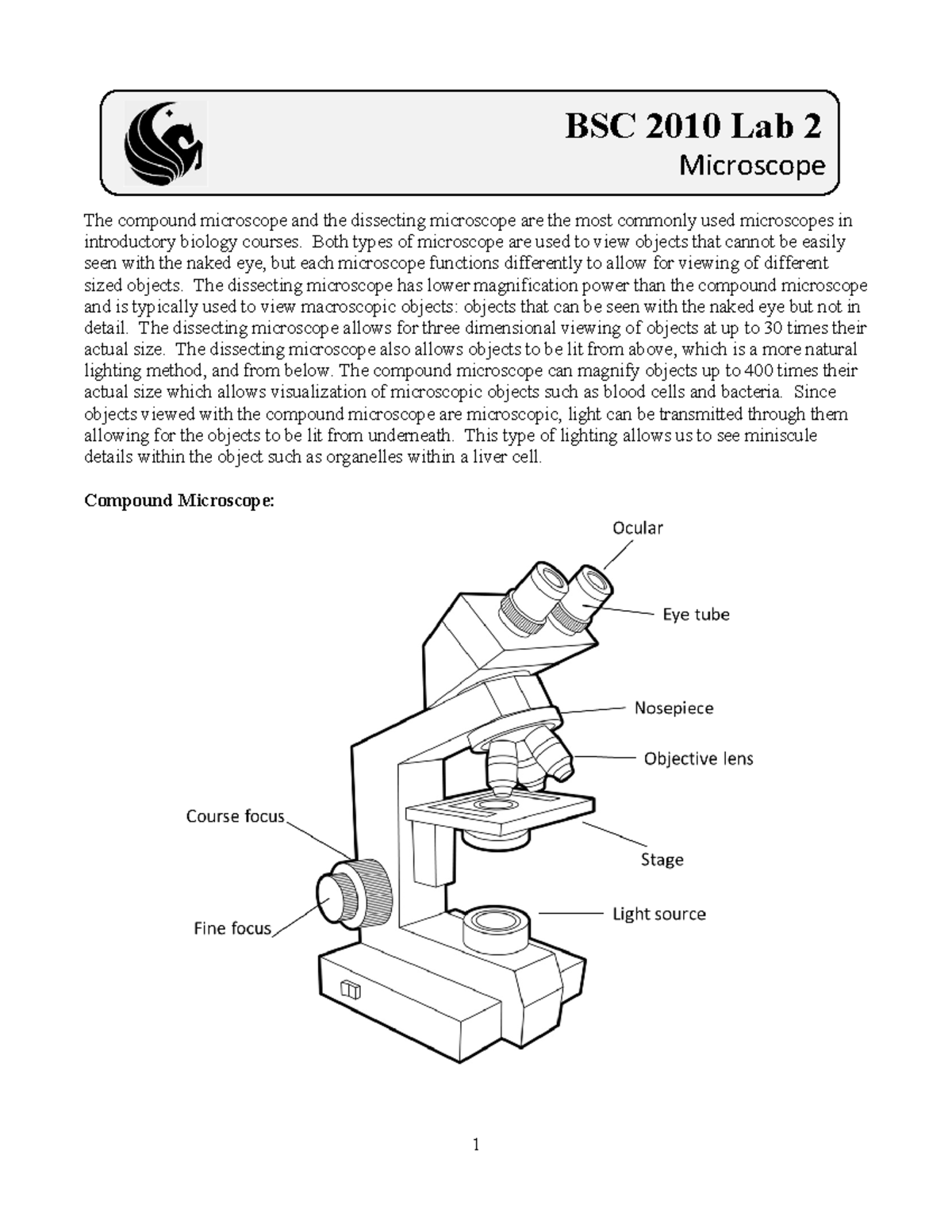 The Compound Microscope Lab at Mackenzie Boreham blog