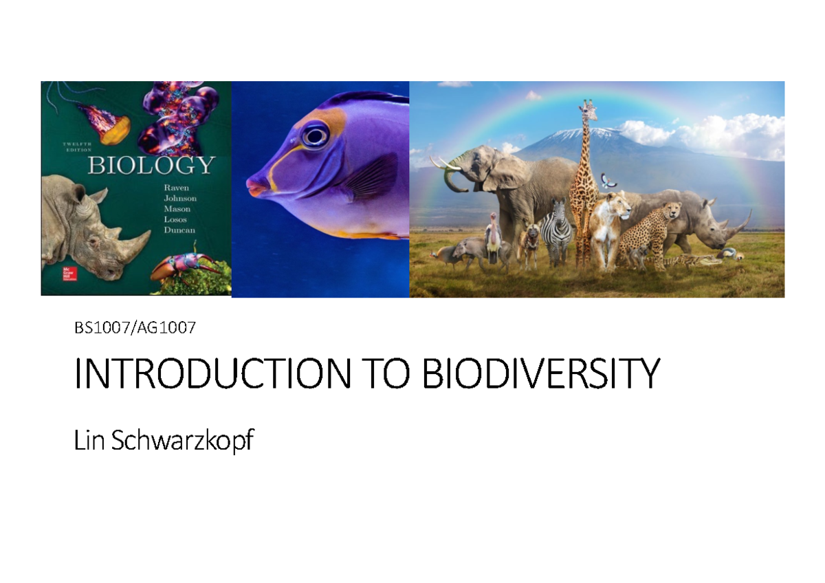 vertebrates -agnatha notes - BS1007/AG INTRODUCTION TO BIODIVERSITY Lin ...