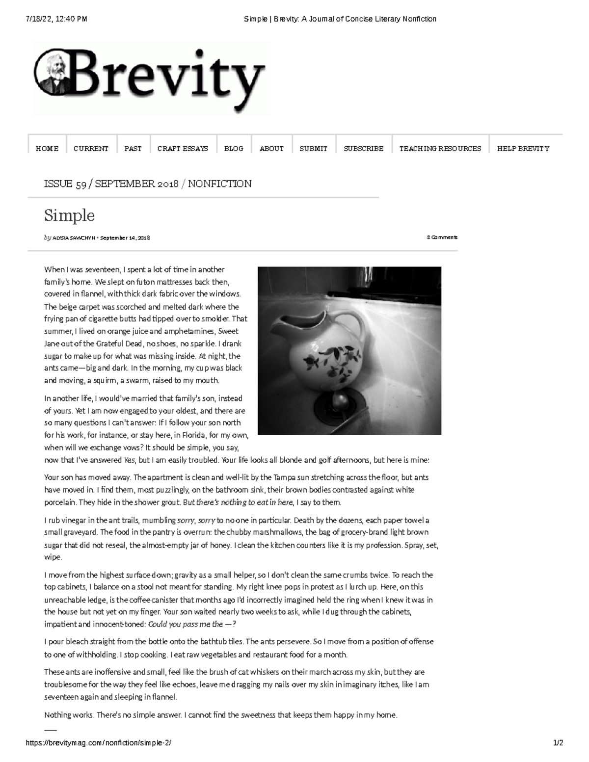 Simple Brevity A Journal of Concise Literary Nonfiction - 7/18/22, 12 ...