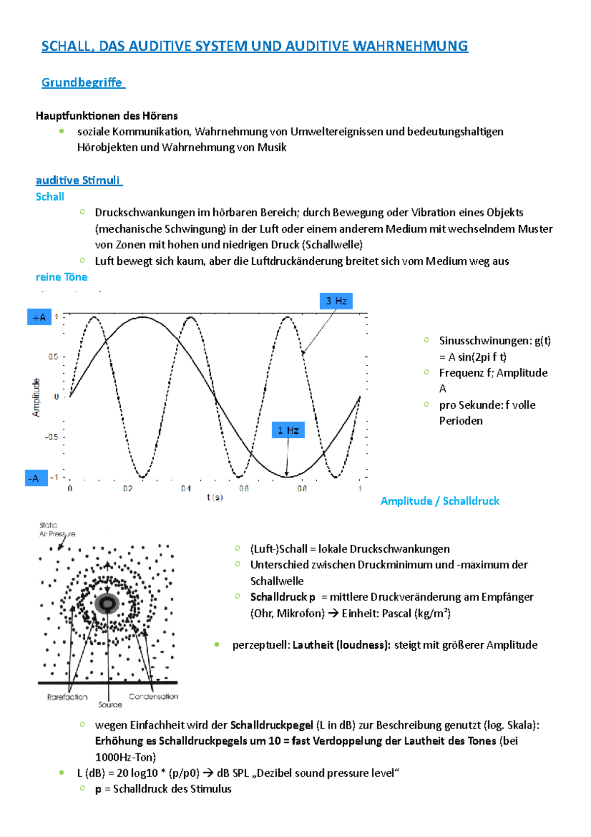 Auditives System - SCHALL, DAS AUDITIVE SYSTEM UND AUDITIVE WAHRNEHMUNG ...