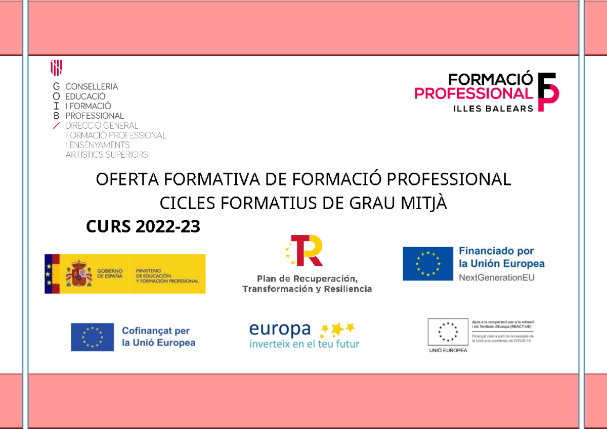 Oferta FP 2022-23 2b GM - eeeeee - OFERTA FORMATIVA DE FORMACIÓ PROFESSIONAL CICLES FORMATIUS DE ...