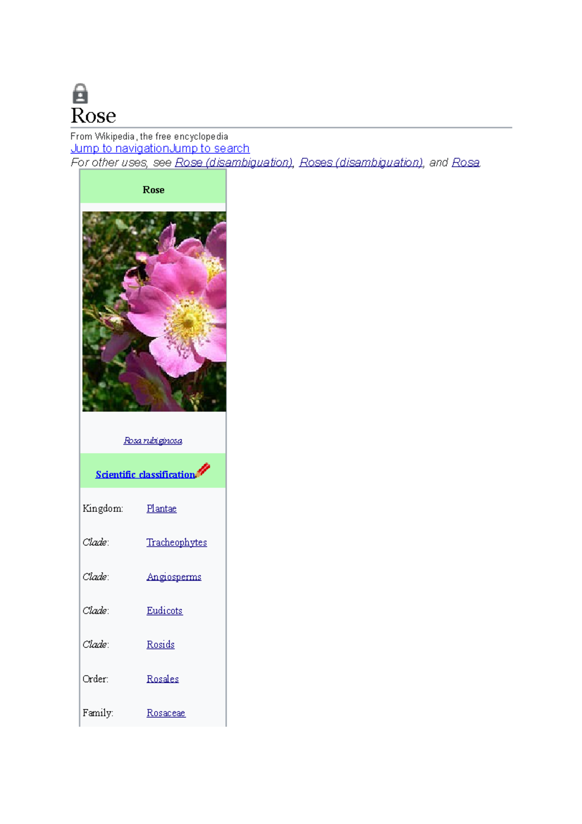 Important Assignment - Rose From Wikipedia, the free encyclopedia Jump ...
