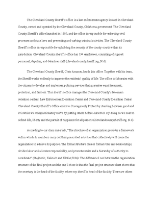 CJ550 milestone one corrections - CJ550 – Milestone One: Correction ...