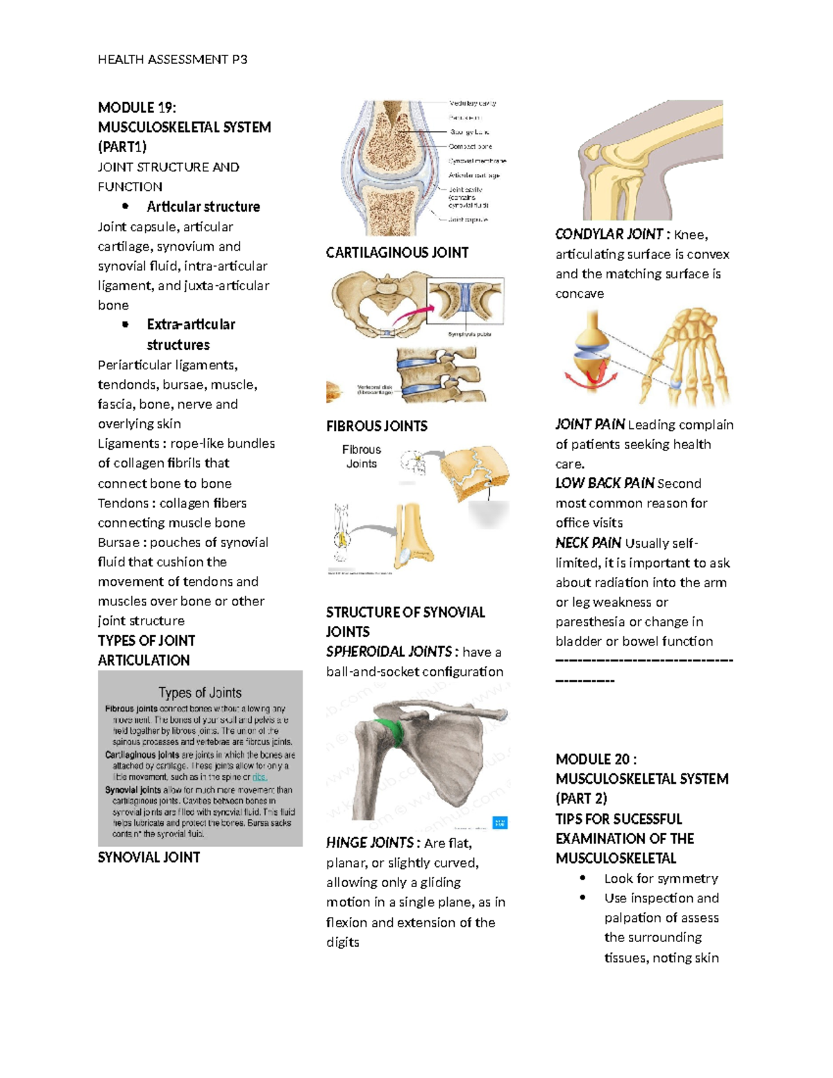 HA P3 - MODULE 19: MUSCULOSKELETAL SYSTEM (PART1) JOINT STRUCTURE AND ...