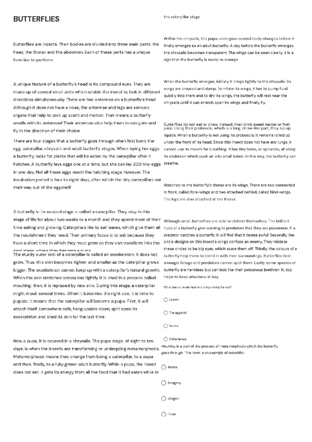 Colorful Creative Mind Map Graph A4 Document copy - BUTTERFLIES the ...