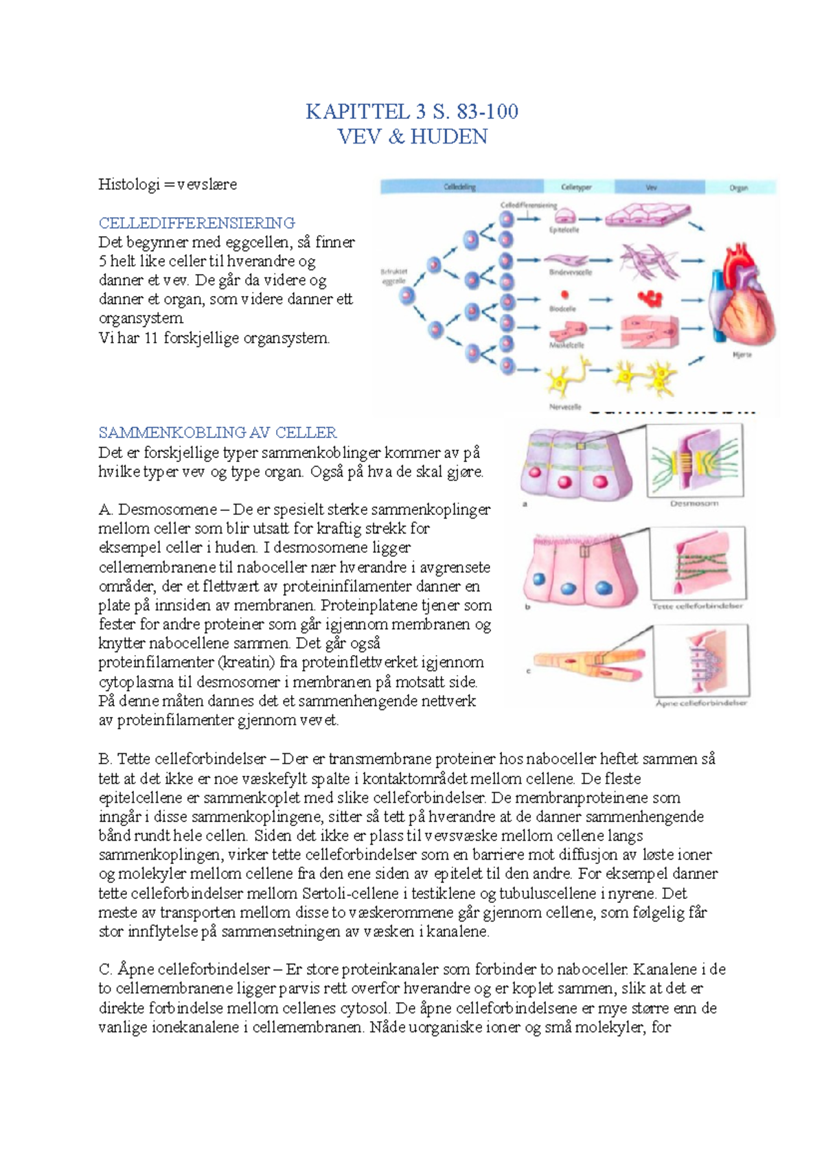 Celler og vev kap 3 - KAPITTEL 3 S. 83- VEV & HUDEN Histologi = vevslære CELLEDIFFERENSIERING ...