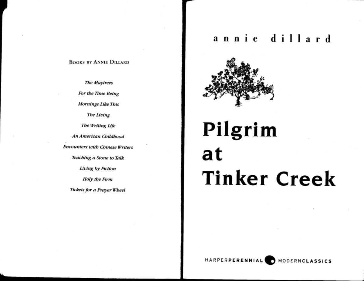 Dillard Seeing-1 - BOOKS BY ANNIE DILLARD The Maytrees For the Time ...