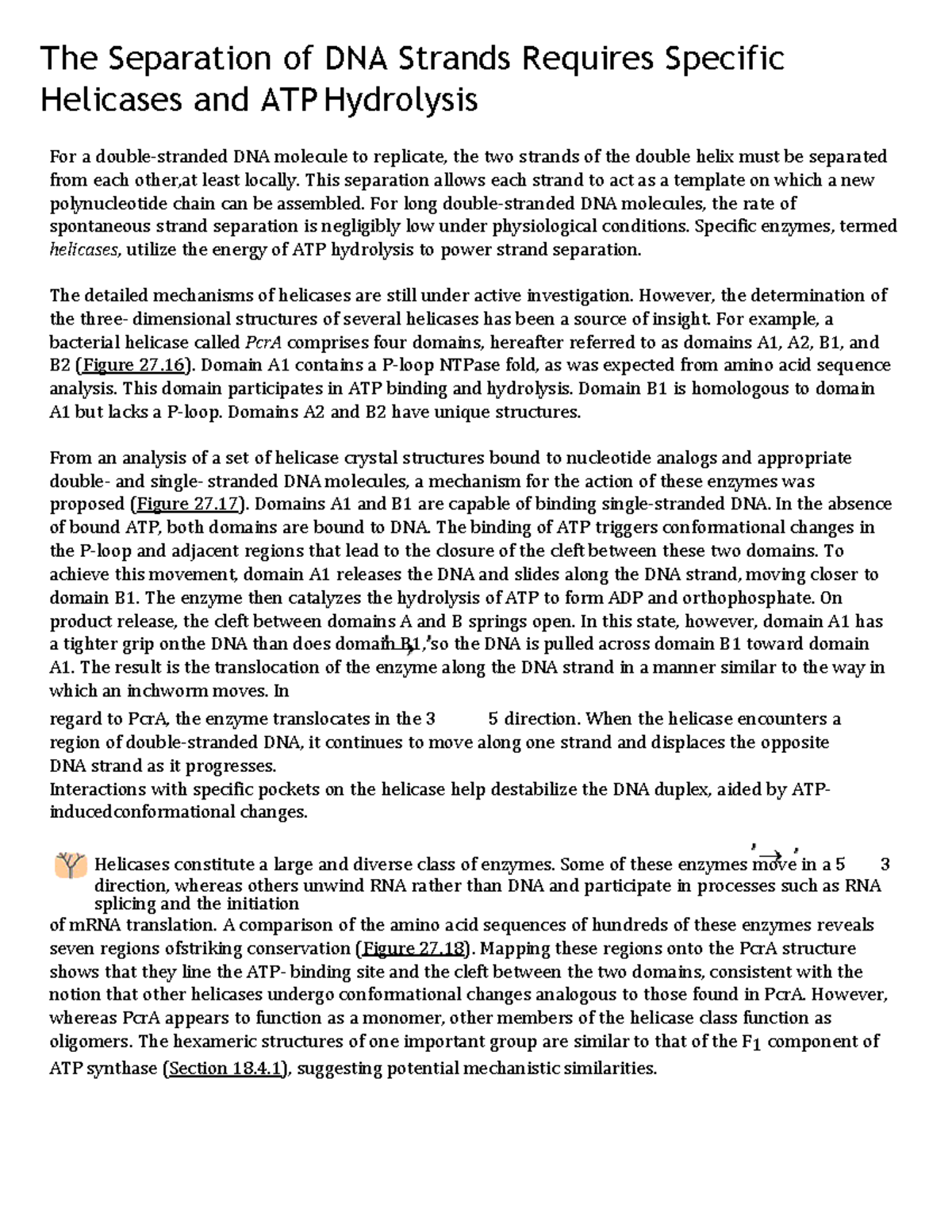 The Separation of DNA Strands Requires Specific Helicases and ATP ...