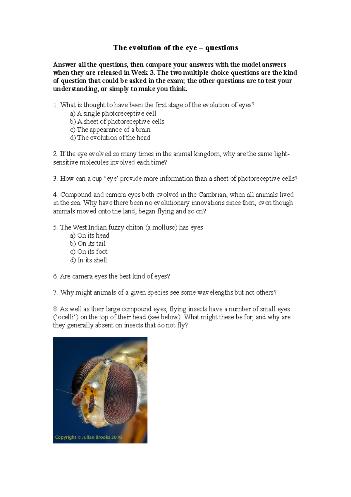 Evolution of eye Questions - The evolution of the eye – questions ...