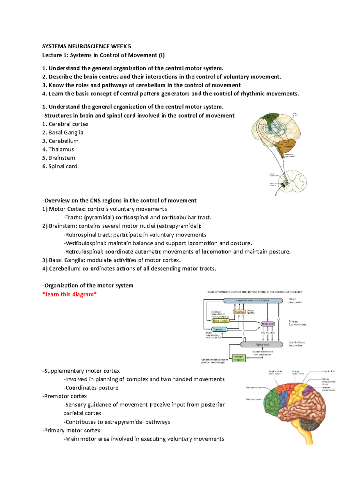 Systems in Control of Movement (I) - Understand the general organizaion ...