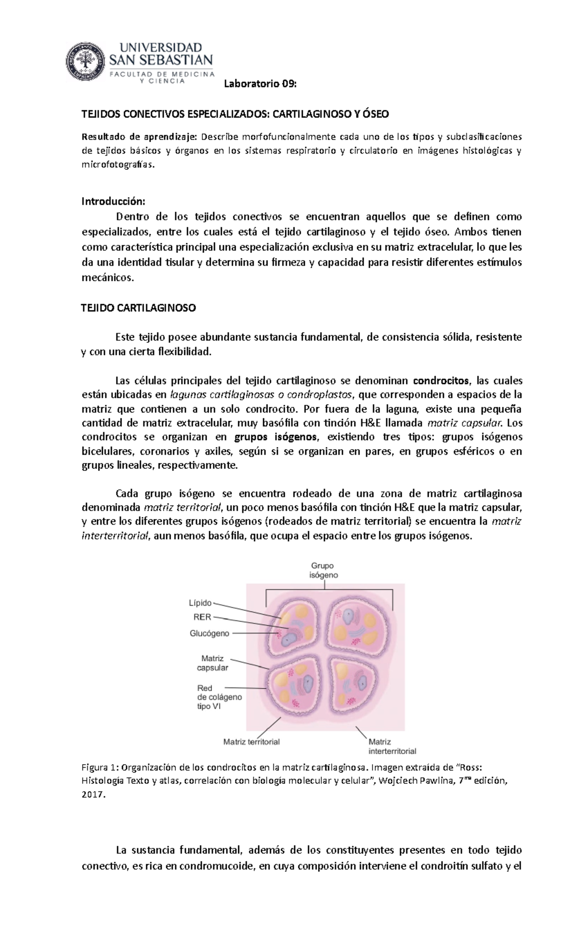 Labhisto-09- Tejidos Conectivos Especializados, Cartilaginoso y Óseo ...