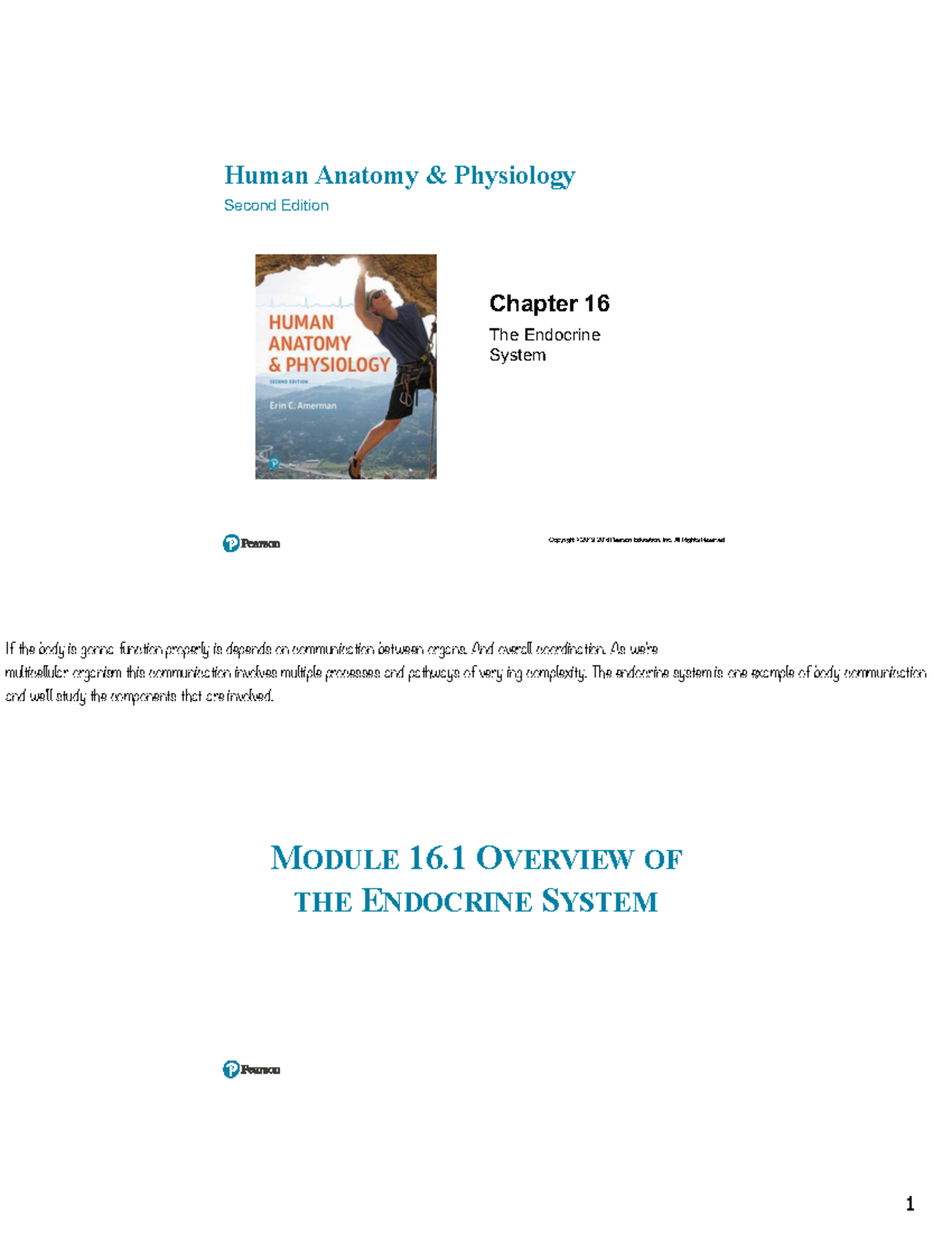 The endocrine system - Human Anatomy & Physiology Second Edition ...