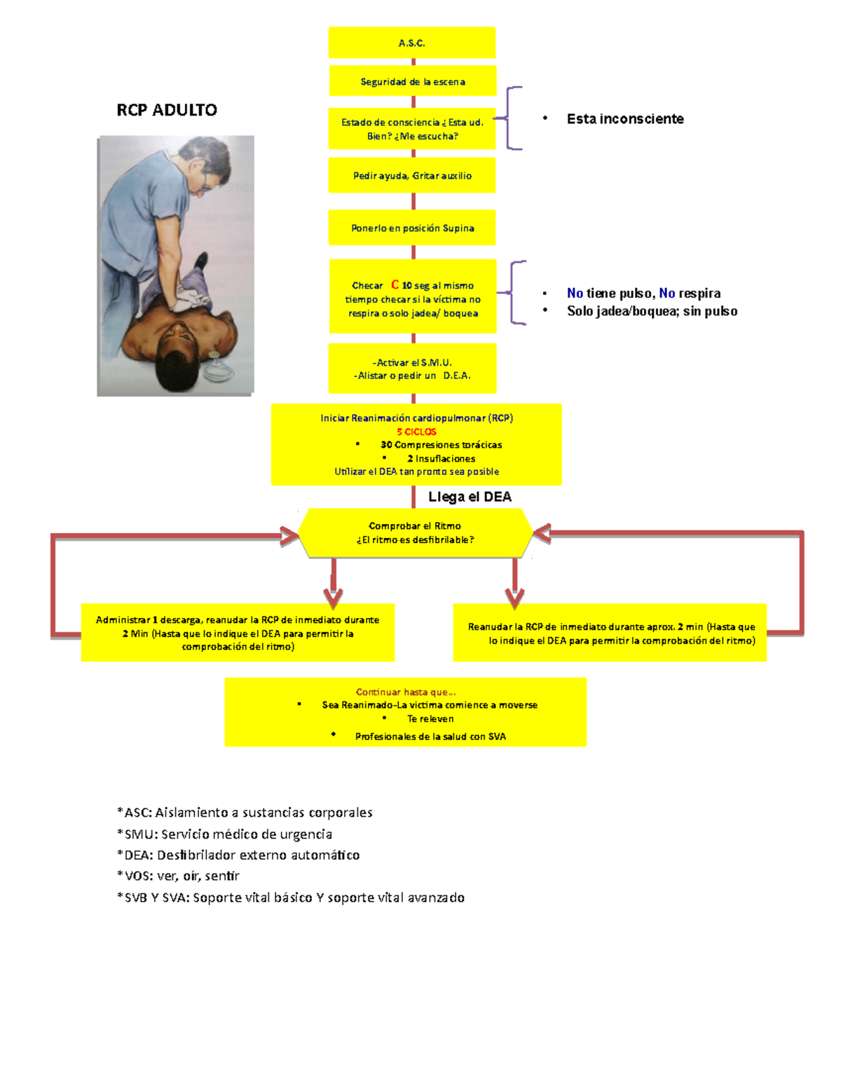 Protocolos Practico Para dar RCP - A.S. Seguridad de la escena RCP ...