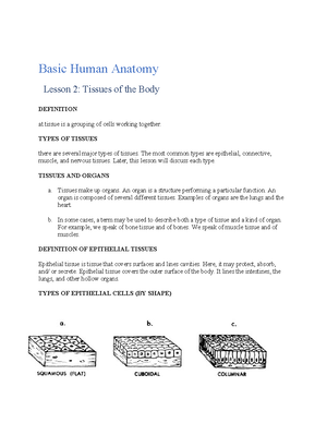 BIO201 Lab 6 - assignment - Student Name: Access Code (located on the lid of your lab kit): Lab ...