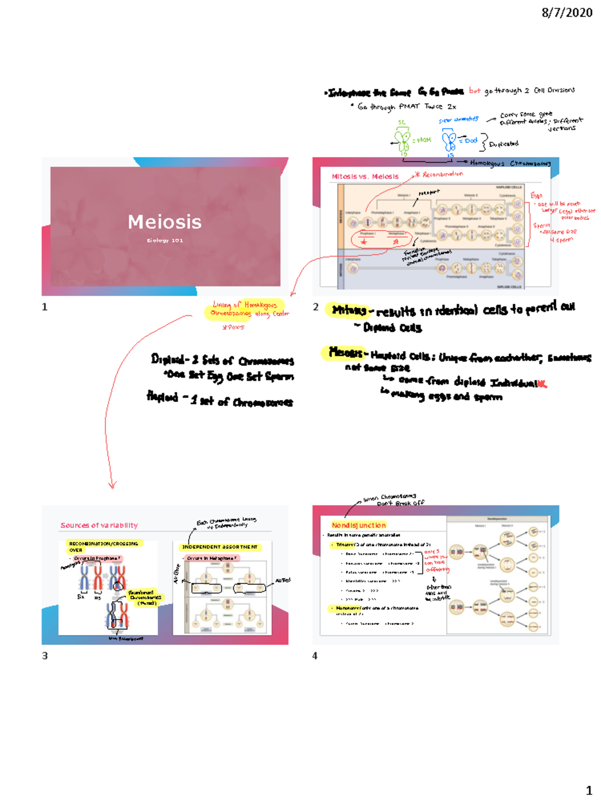 Chapter 7 Meiosis Notes - 8/7/ 1 Meiosis Biology 101 Mitosis vs ...