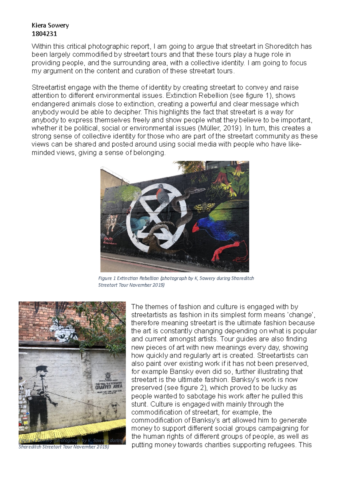 Street Art Essay - Figure 2 Bansky (photograph by K, Sowery during ...