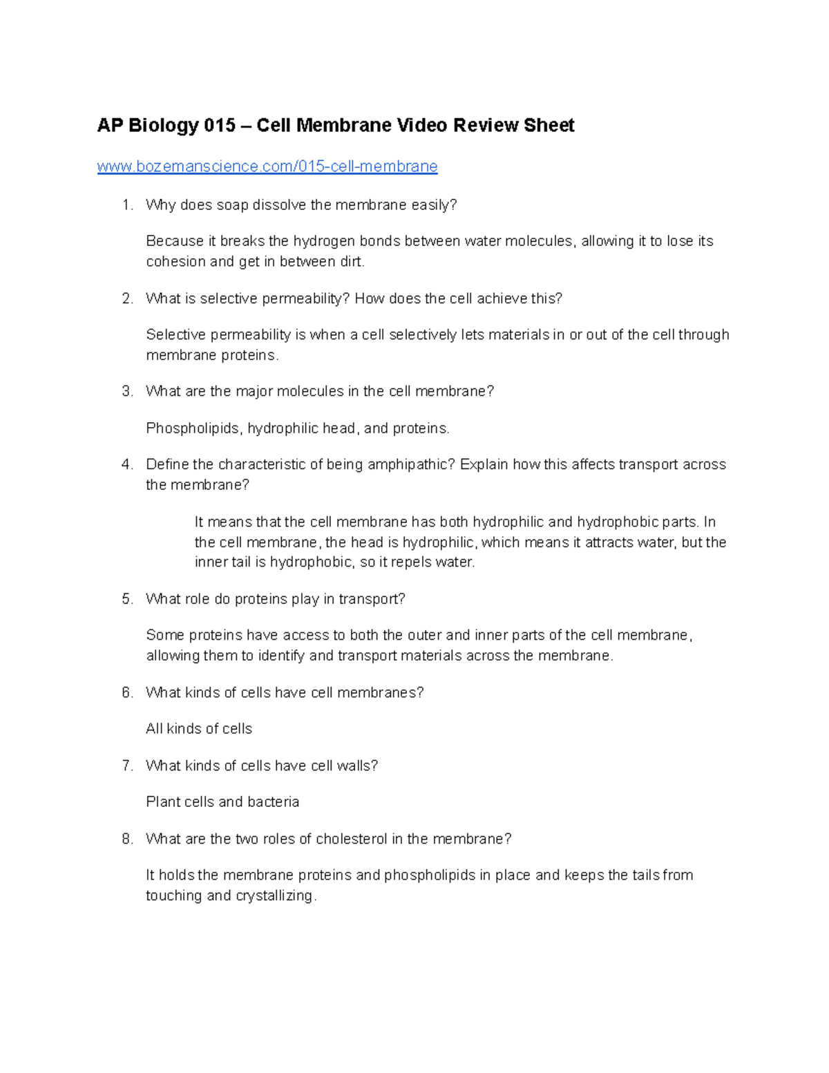 Bozeman Cell Membrane - AP Biology 015 – Cell Membrane Video Review ...