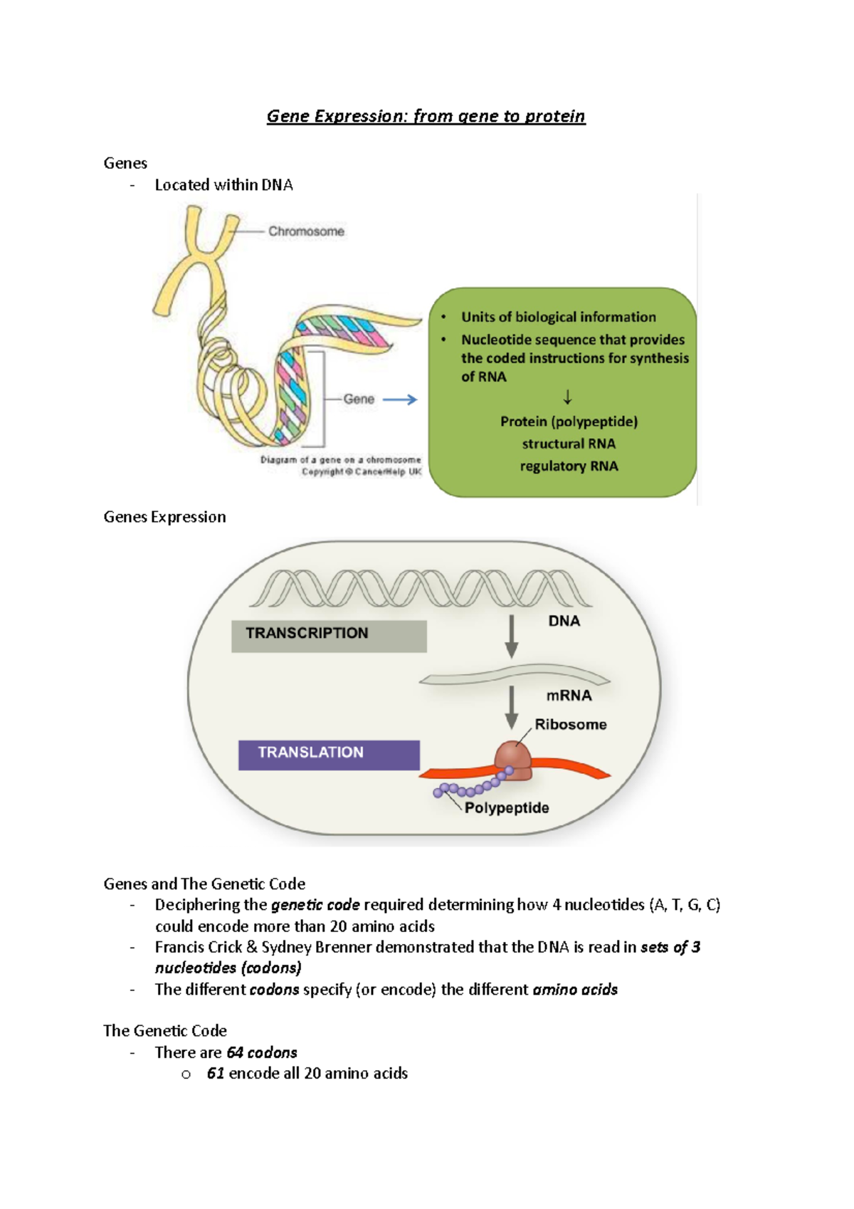 Gene Expression - Summary Campbell Biology - Gene Expression: from gene ...